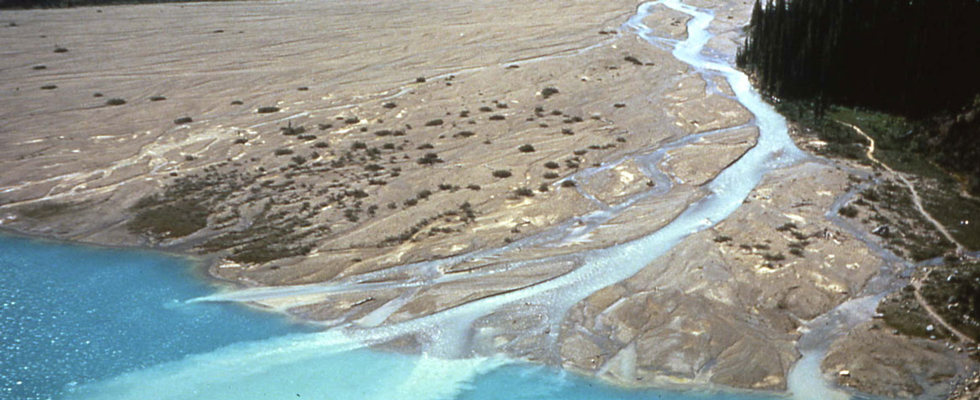 Universitair Master - GoGeo